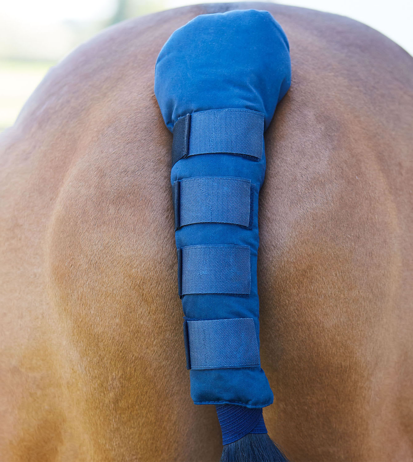 BITZ TAIL GUARD PADDED WITH VELCRO NAVY ONE SIZE - totalfarmsupplies.co.uk
