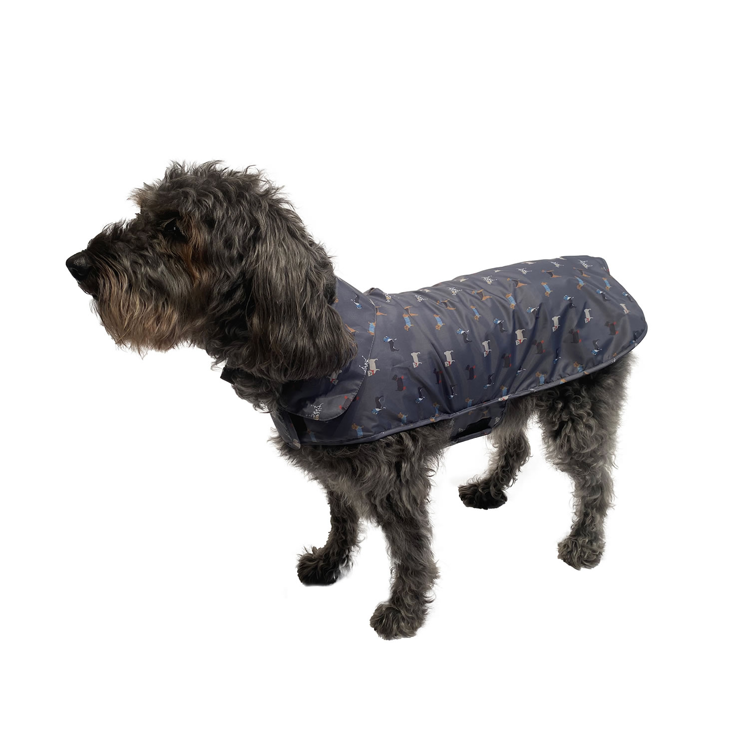 DANISH DESIGN FATFACE MARCHING DOGS RAINCOAT - totalfarmsupplies.co.uk