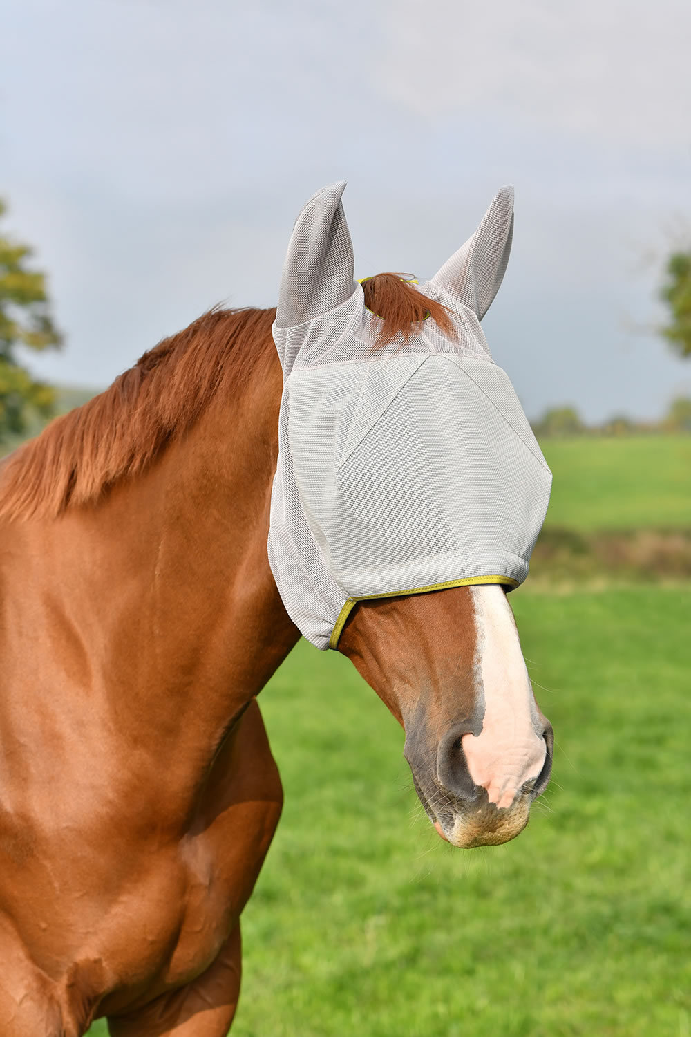 EQUILIBRIUM FIELD RELIEF MIDI FLY MASK & EARS GREY/YELLOW LARGE GREY ...