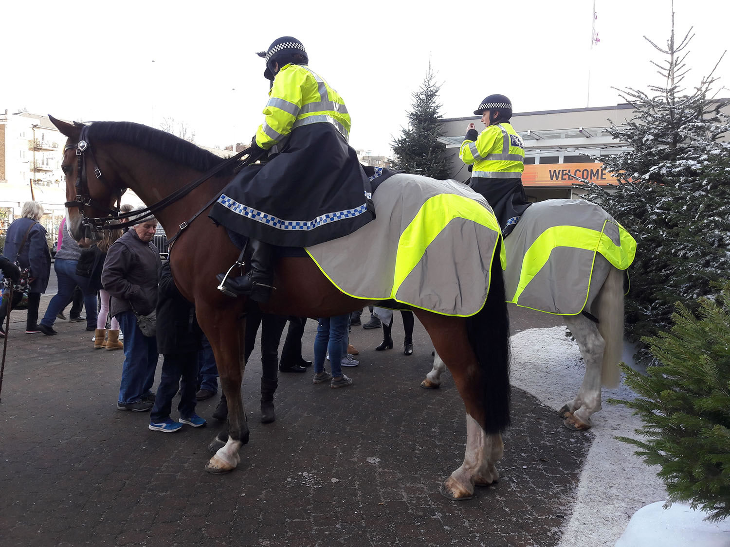 EQUISAFETY MERCURY EXERCISE RUG YELLOW - totalfarmsupplies.co.uk
