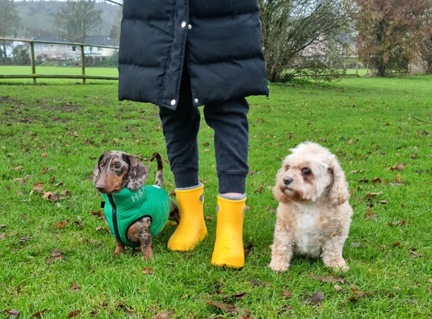 LBC ULTRALIGHT ANKLE BOOTS YELLOW - totalfarmsupplies.co.uk