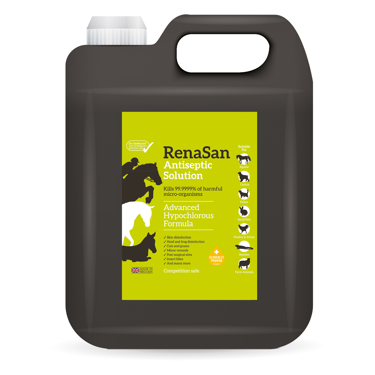 RENASAN ANTISEPTIC SOLUTION 5 LT 5 LT - totalfarmsupplies.co.uk