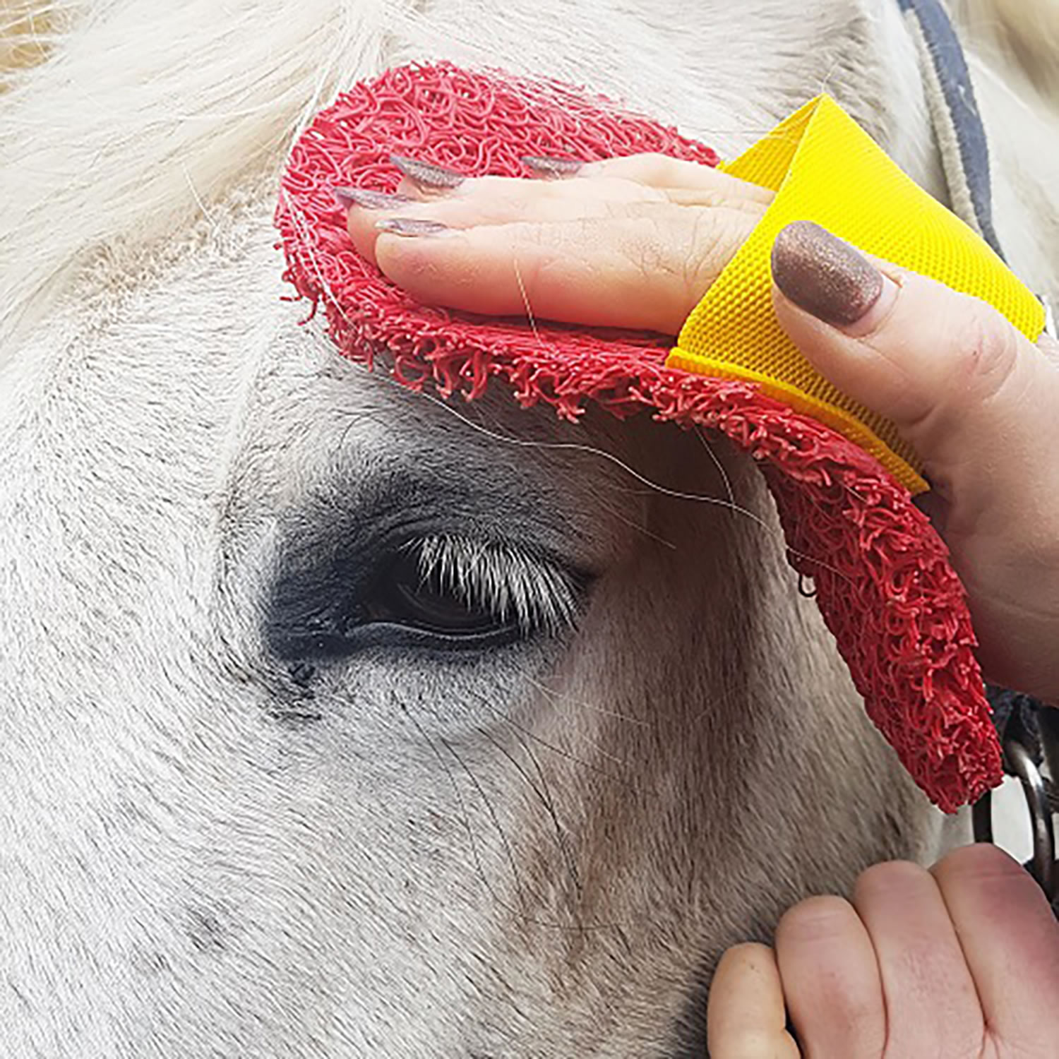 SMART GROOMING SUPER GROOMER ORIGINAL COARSE - totalfarmsupplies.co.uk