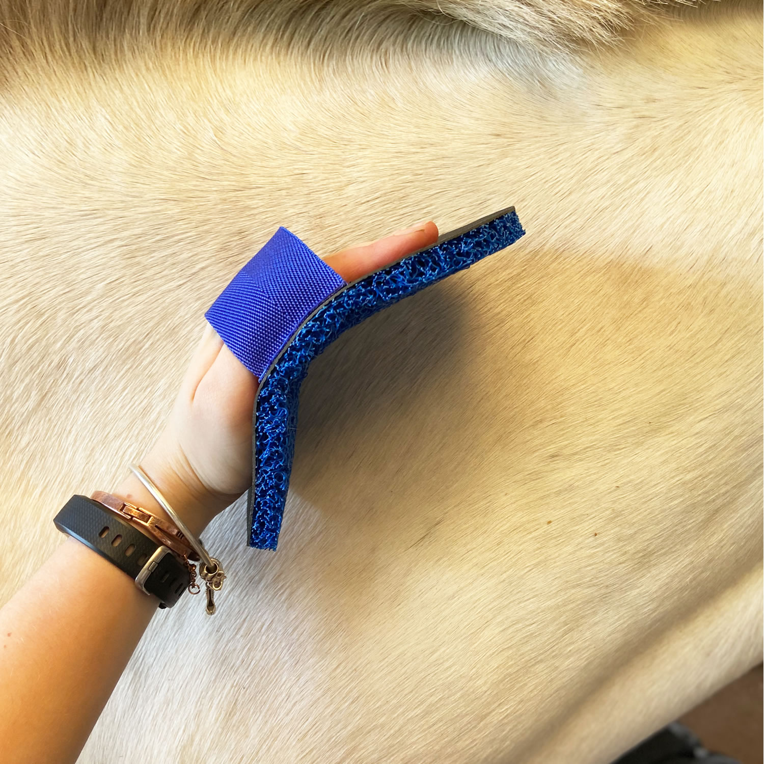 SMART GROOMING SUPER GROOMER DELUXE - totalfarmsupplies.co.uk