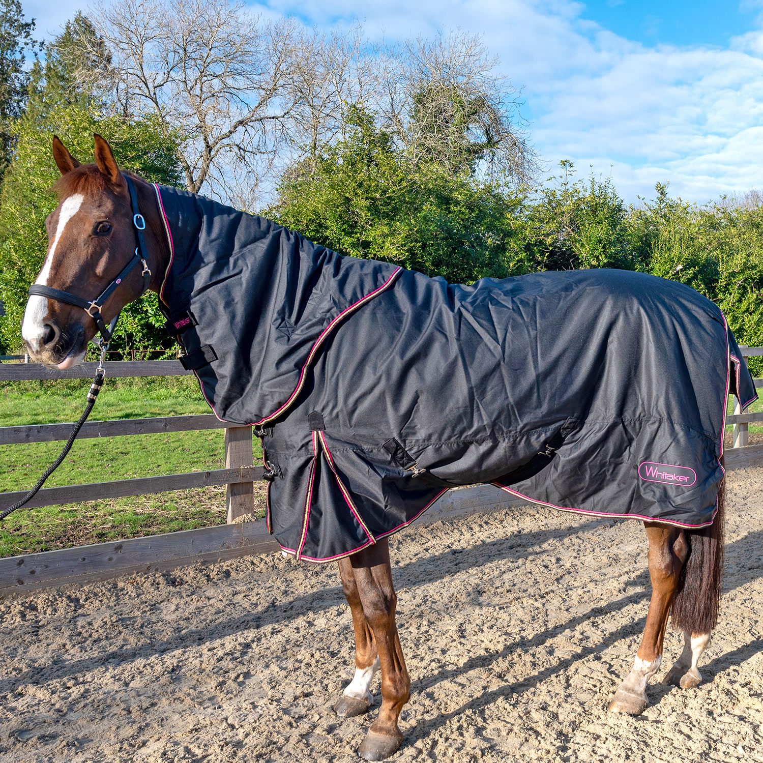 WHITAKER WITTON TURNOUT RUG DETACHABLE NECK 200GM 6' 9" TURNOUT ...