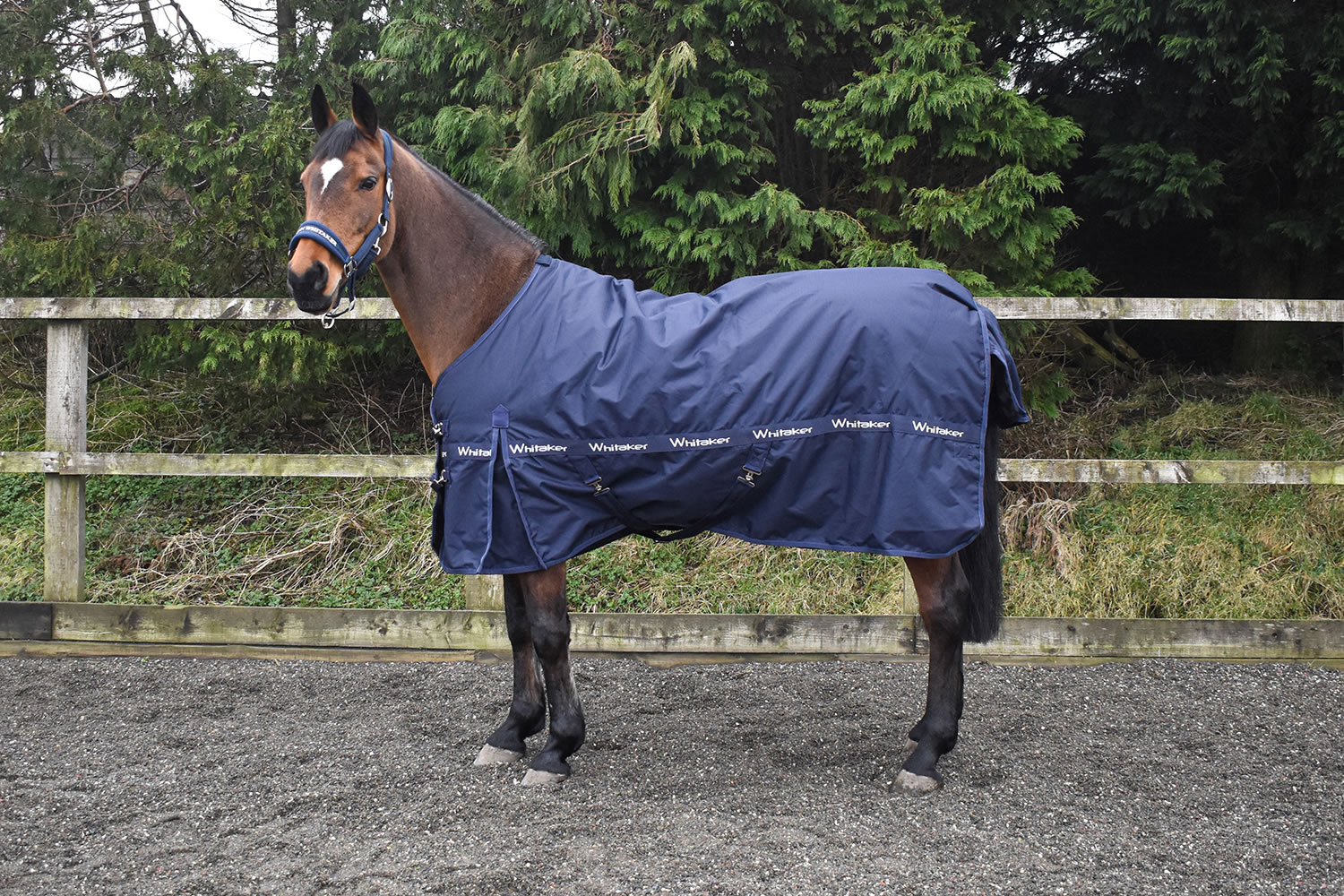 WHITAKER KIRBY TURNOUT RUG 100GM NAVY 5' 6" TURNOUT RUG ...