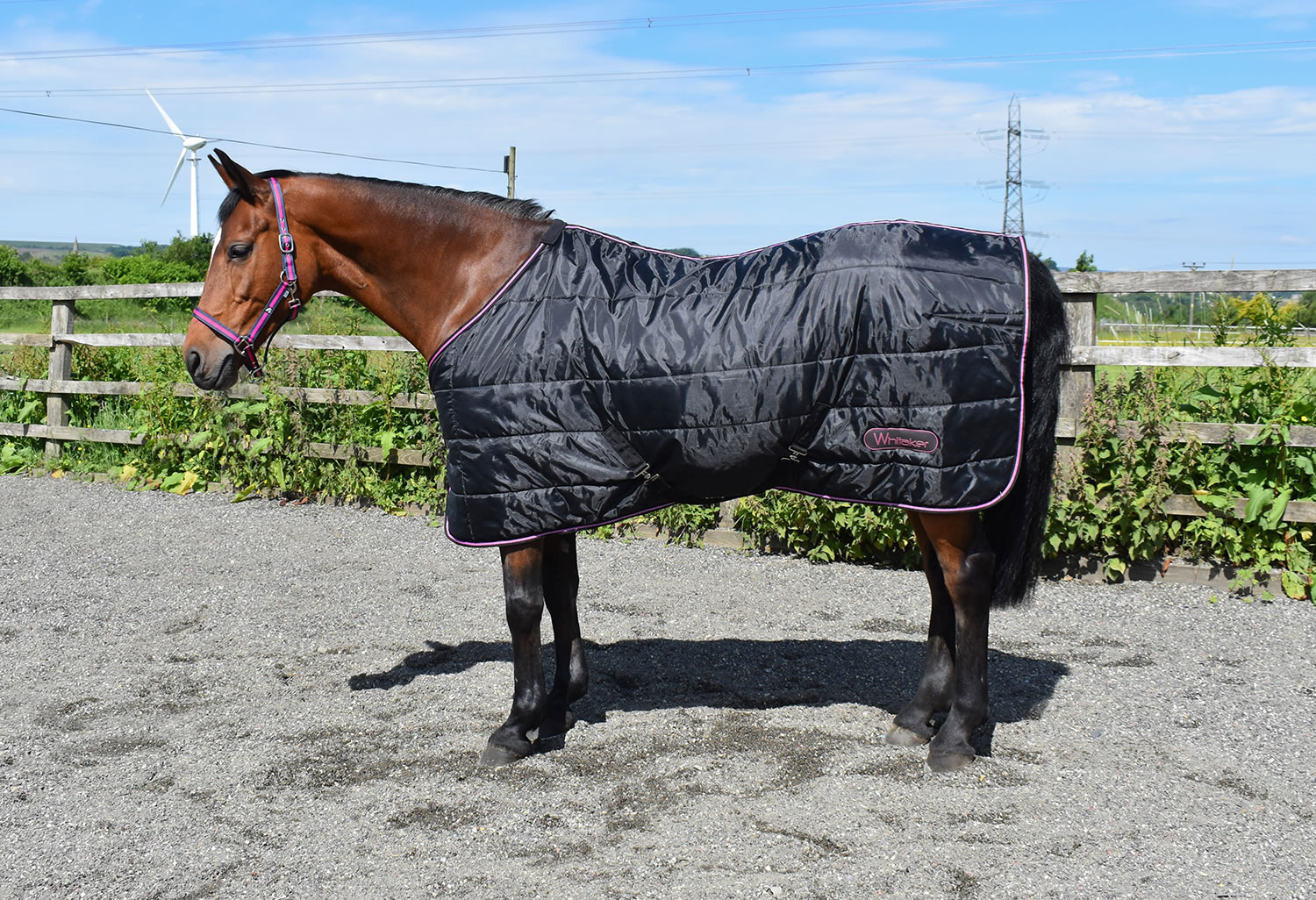 WHITAKER DUNFORD STABLE RUG 100GM BLACK/PINK 5' 3" STABLE RUG ...