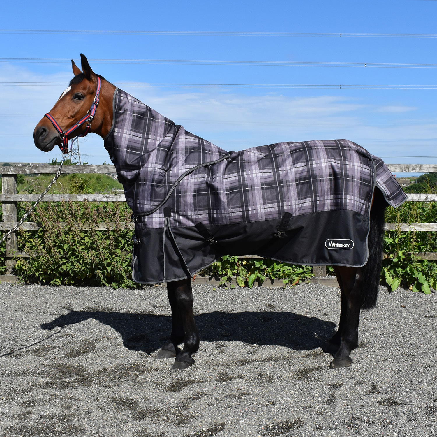 WHITAKER NEWTON TURNOUT RUG DETACHABLE NECK 200GM BLK/GREY 6' 0 ...