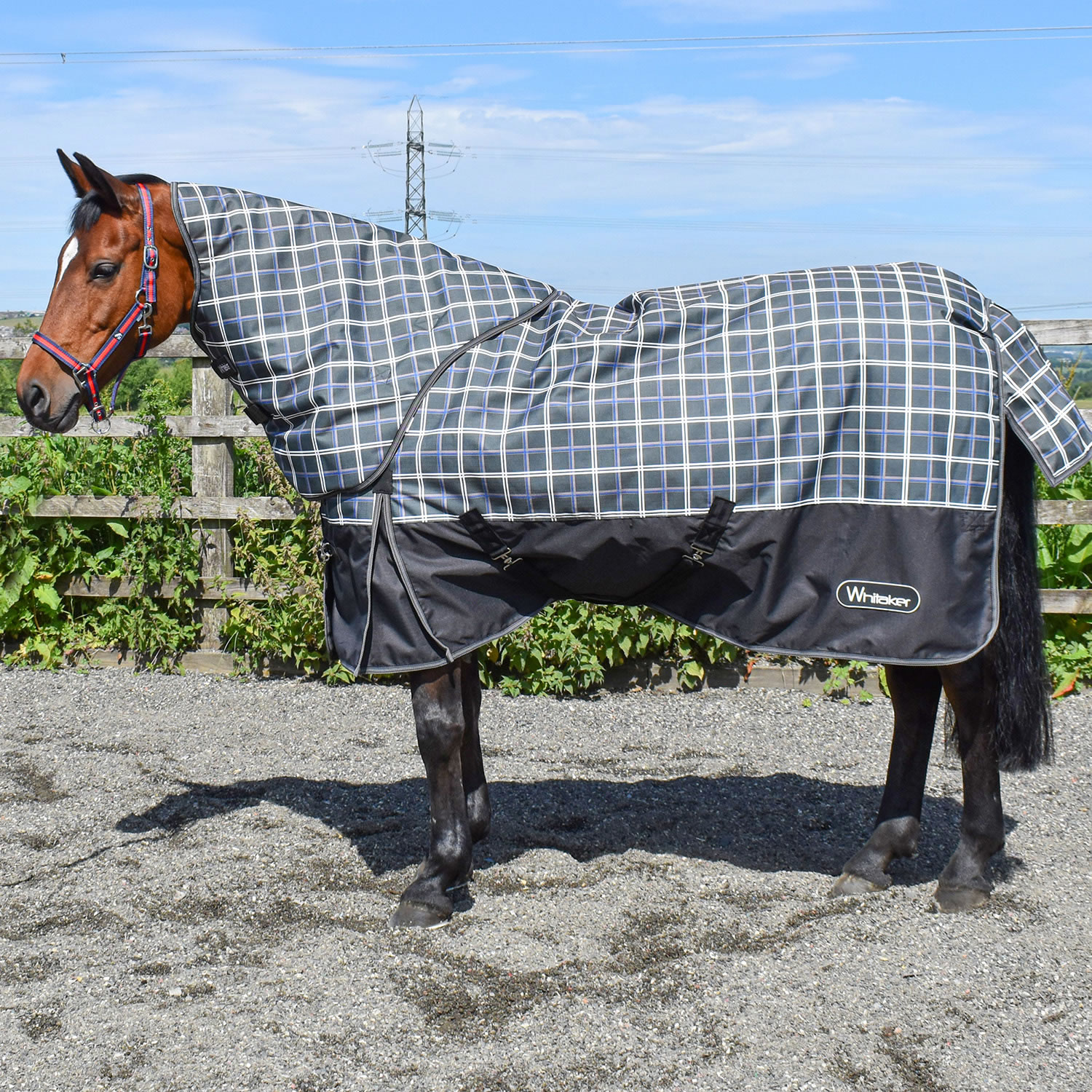 WHITAKER NEWTON TURNOUT RUG DETACHABLE NECK 200GM GREY/BLUE 6' 0 ...
