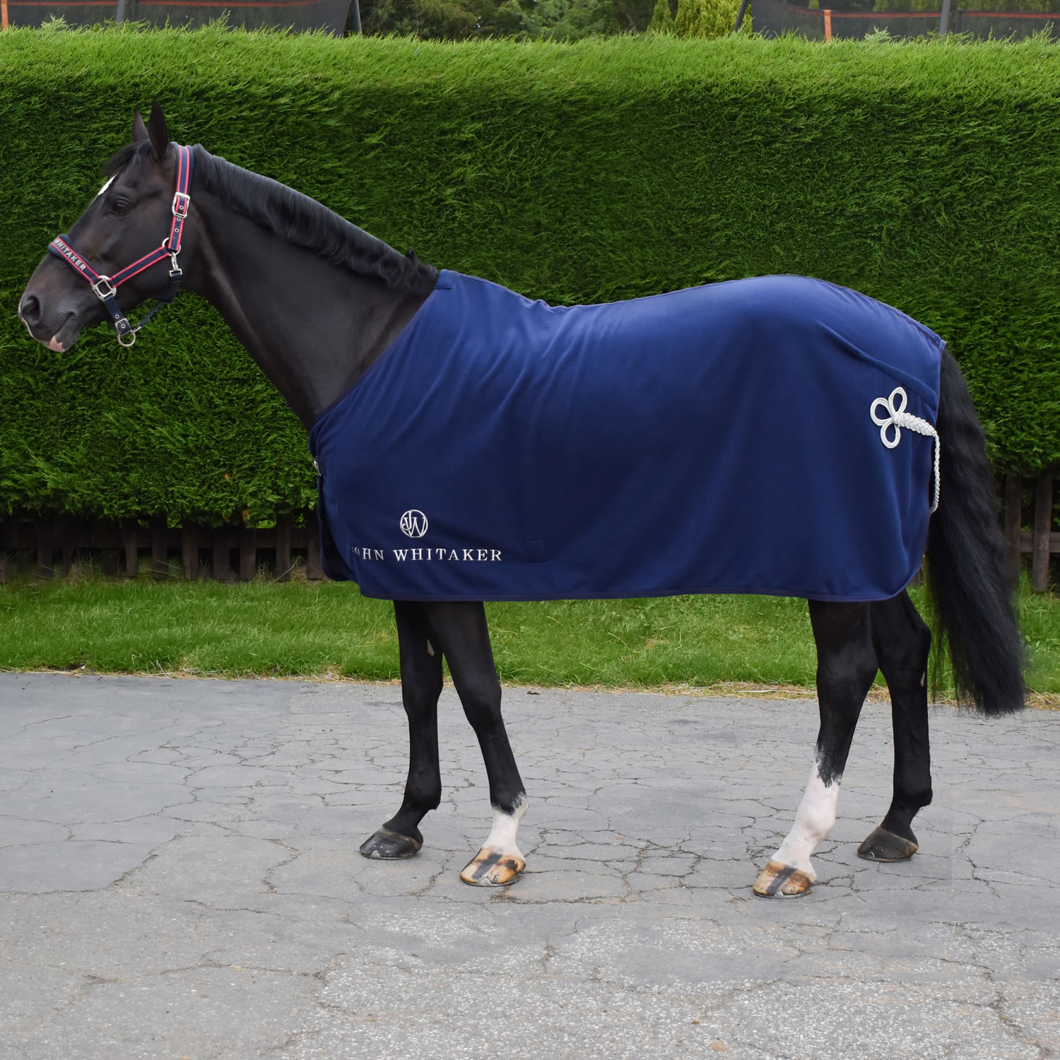 WHITAKER HELSINKI SHOW RUG NAVY - totalfarmsupplies.co.uk