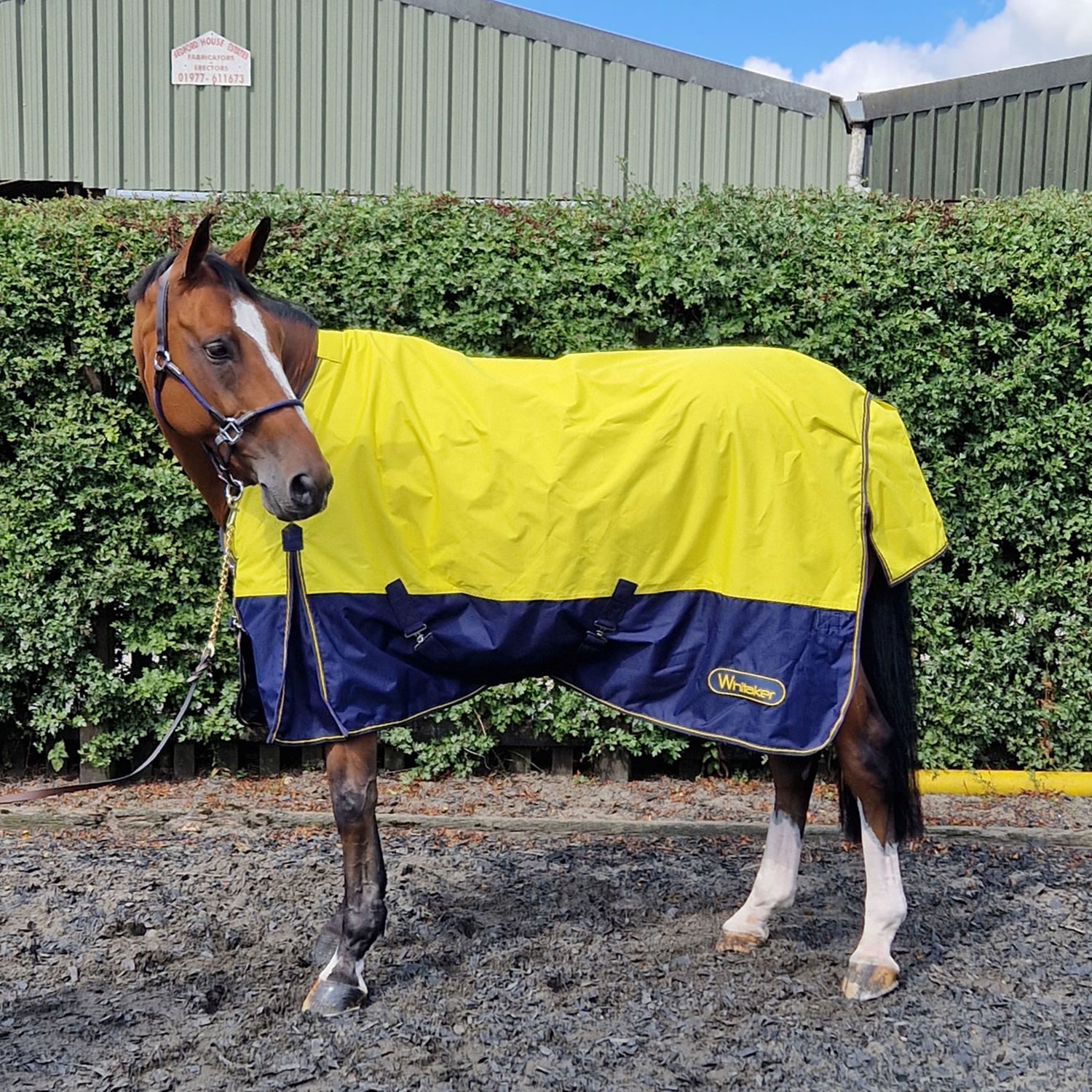WHITAKER HORNSEA TURNOUT RUG 0GM YELLOW - totalfarmsupplies.co.uk