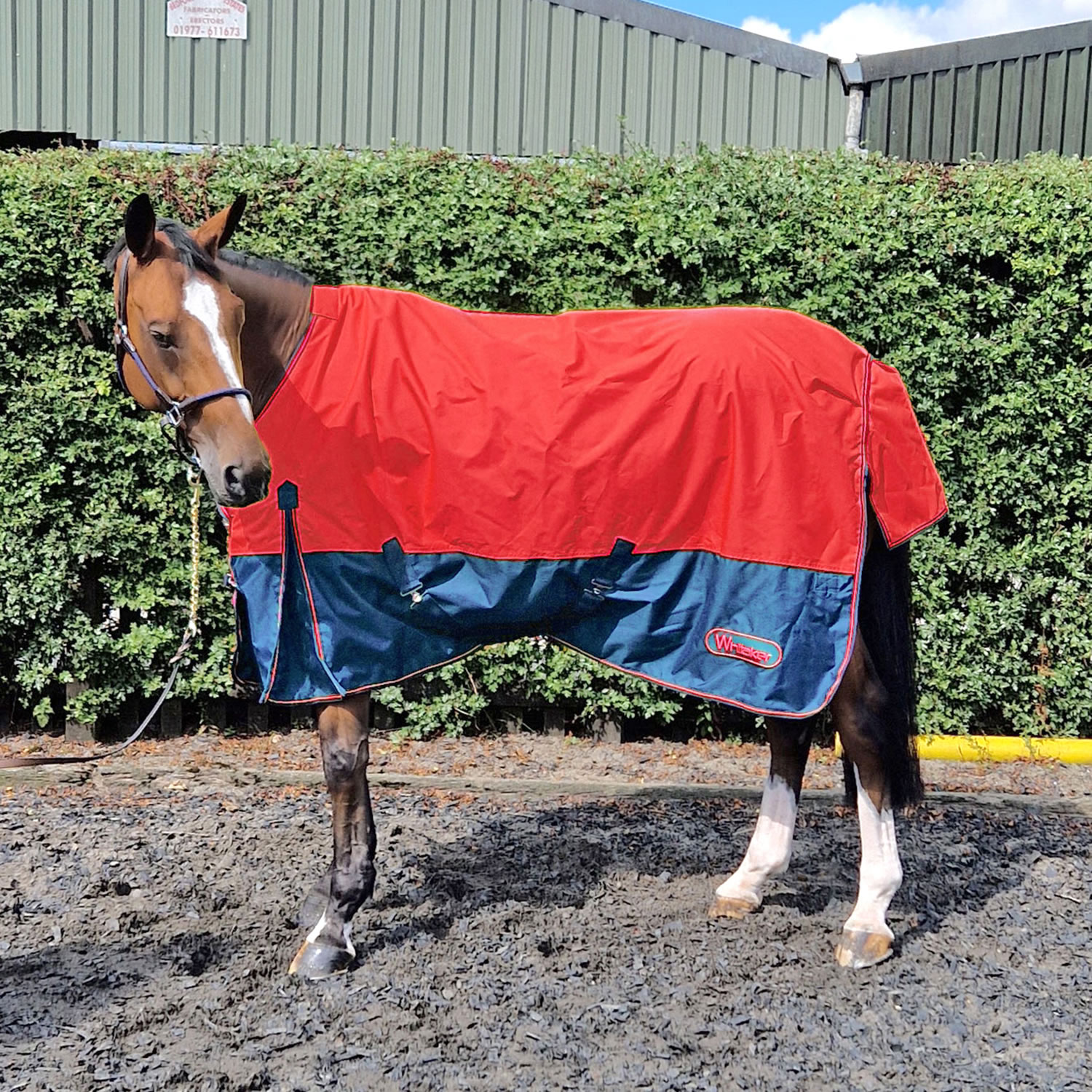 WHITAKER RUDSTON TURNOUT RUG 50GM RED - totalfarmsupplies.co.uk