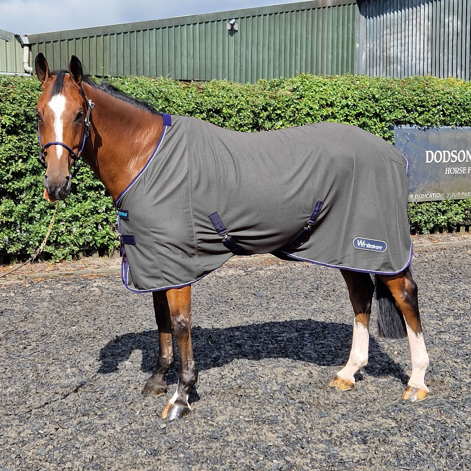 WHITAKER CLOUGH KNITTED COOLER RUG GREY - totalfarmsupplies.co.uk