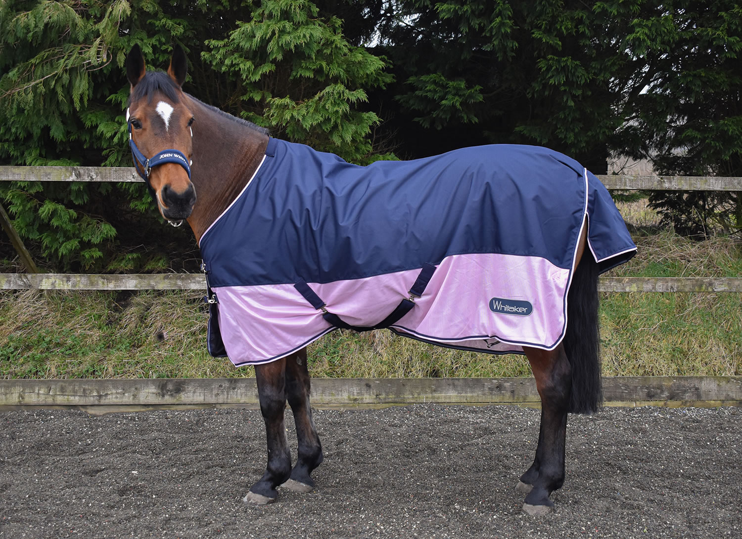 WHITAKER FAIRBURN WATER RESISTANT FLY RUG NAVY/PINK 5' 3" FLY RUG ...