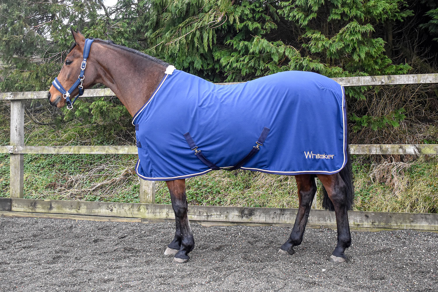 WHITAKER RYDAL SHOW RUG BLUE 6' 9" SHOW RUG - totalfarmsupplies.co.uk