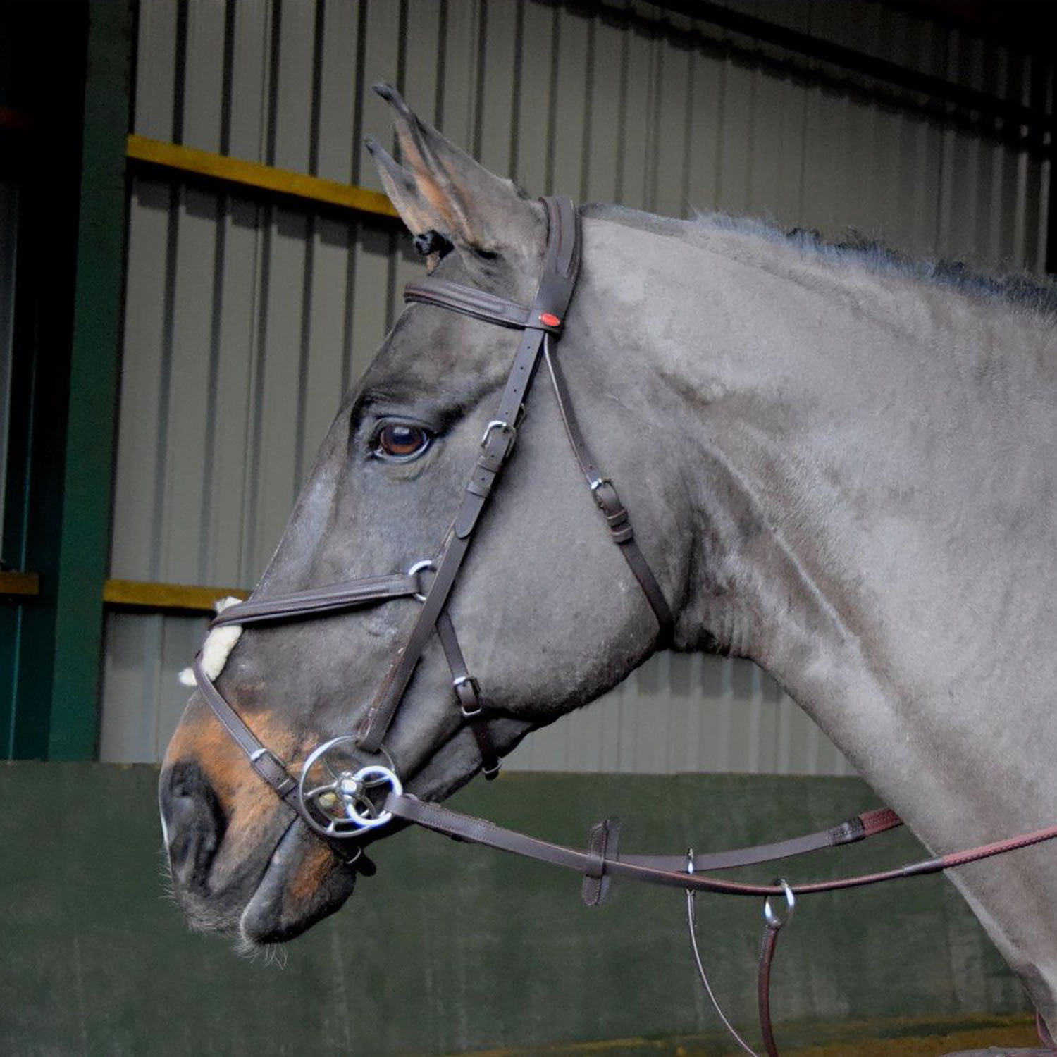 WHITAKER READY TO RIDE MEXICAN BRIDLE COB - totalfarmsupplies.co.uk