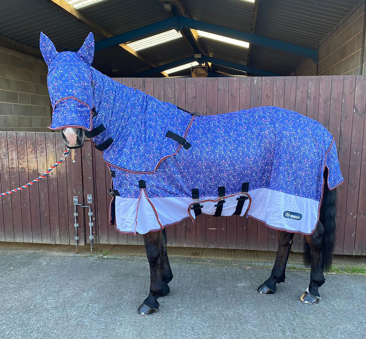 WHITAKER AIRTON FLY RUG WOODLAND - totalfarmsupplies.co.uk