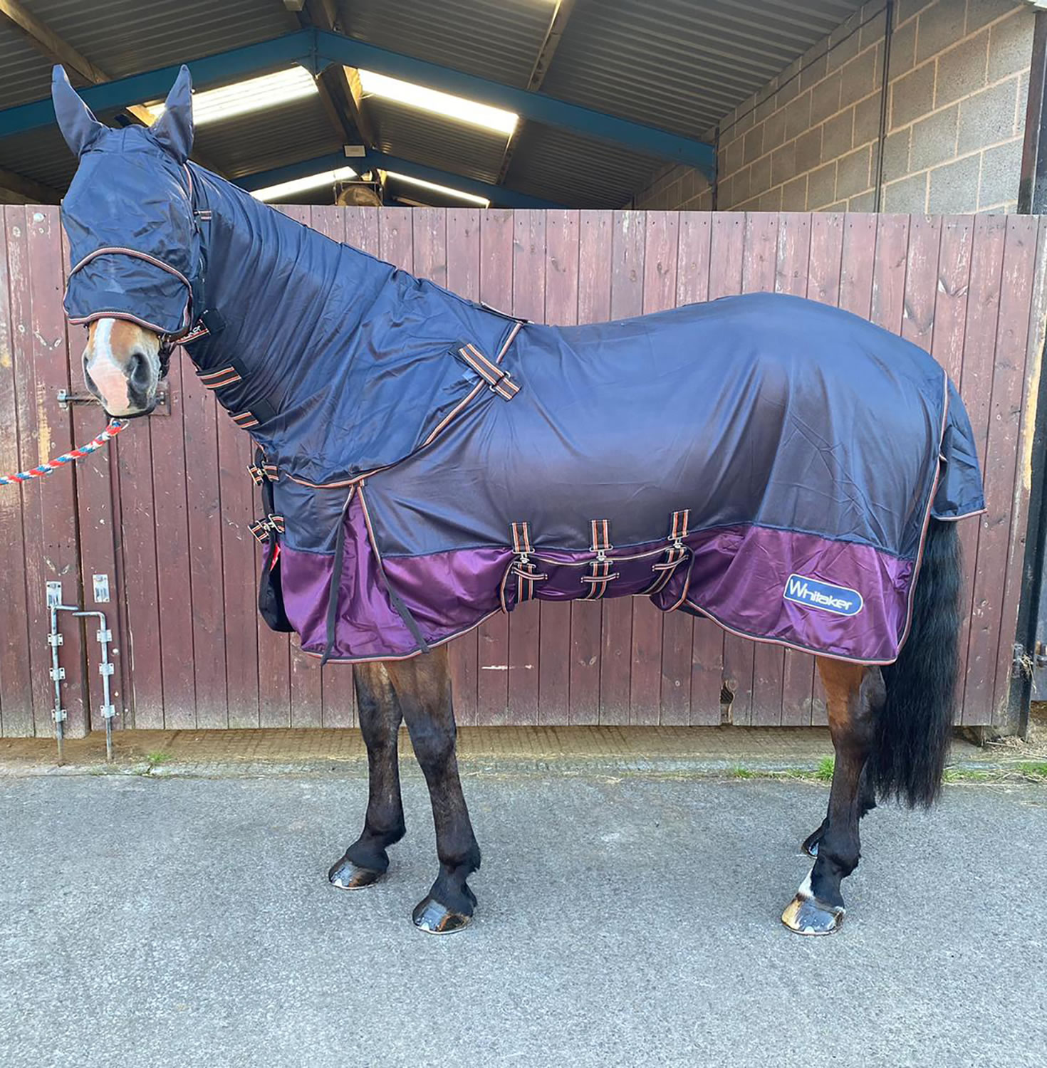 WHITAKER AIRTON FLY RUG NAVY/PLUM - totalfarmsupplies.co.uk