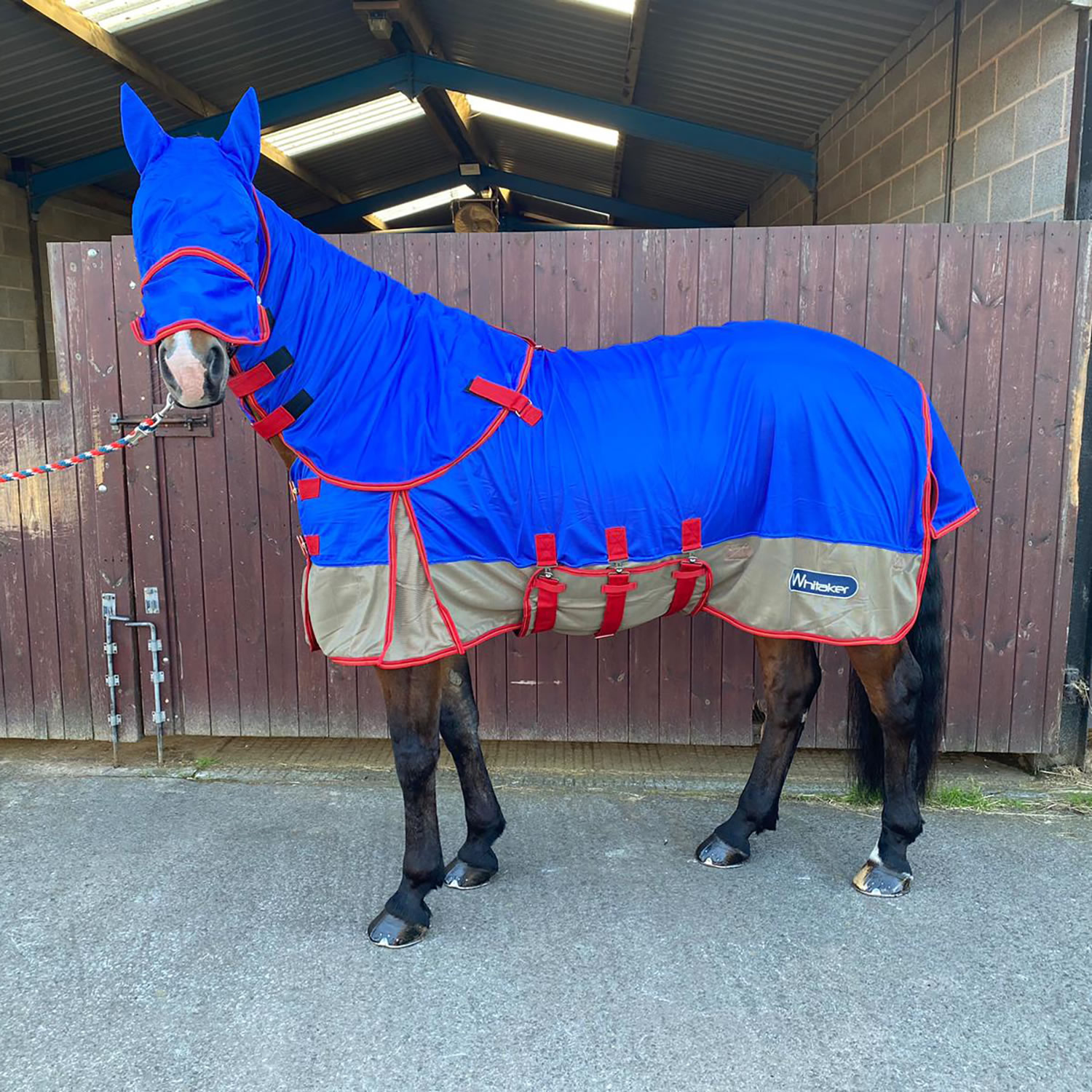 WHITAKER AIRTON FLY RUG BLUE/BEIGE - totalfarmsupplies.co.uk