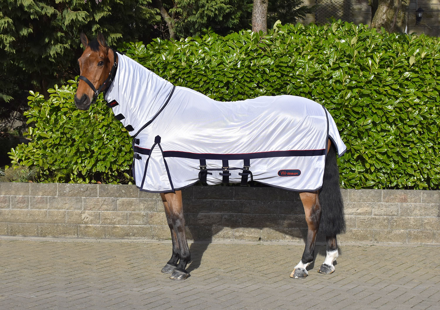 WHITAKER RASTRICK FLY RUG MESH WHITE - totalfarmsupplies.co.uk