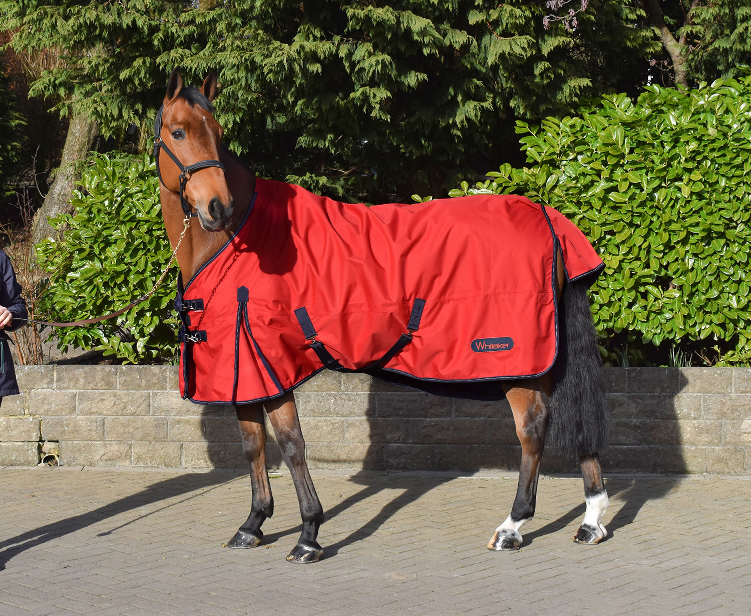 WHITAKER RASTRICK TURNOUT RUG 0GM RED - totalfarmsupplies.co.uk