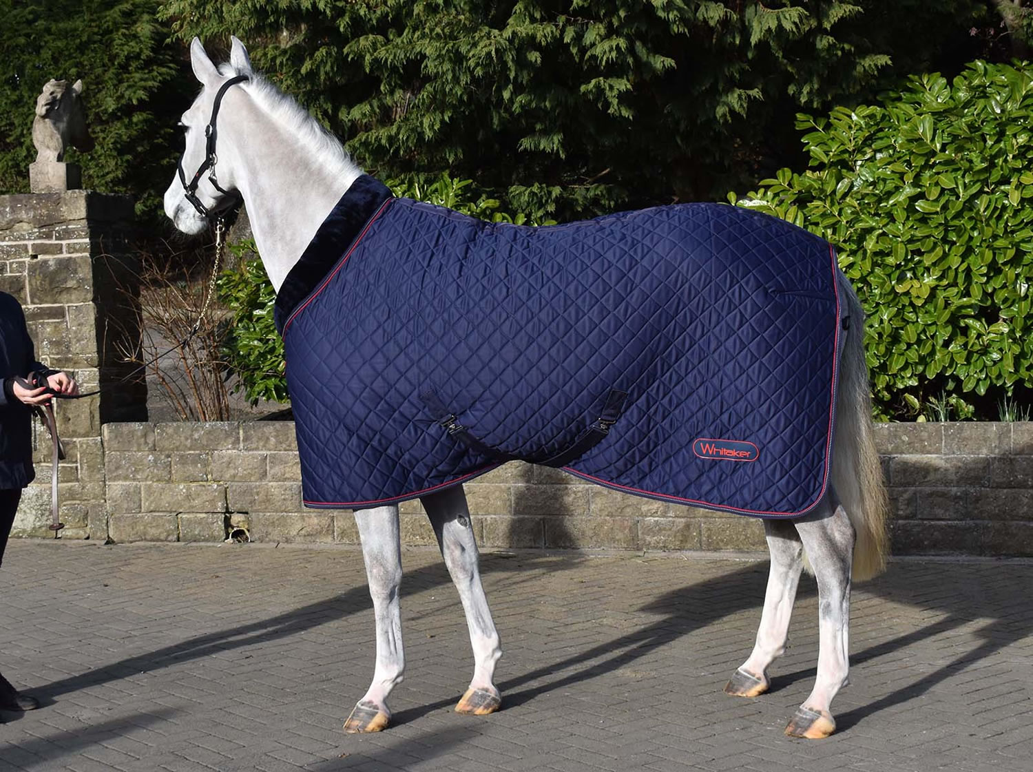 WHITAKER RASTRICK COSY STABLE RUG NAVY - totalfarmsupplies.co.uk
