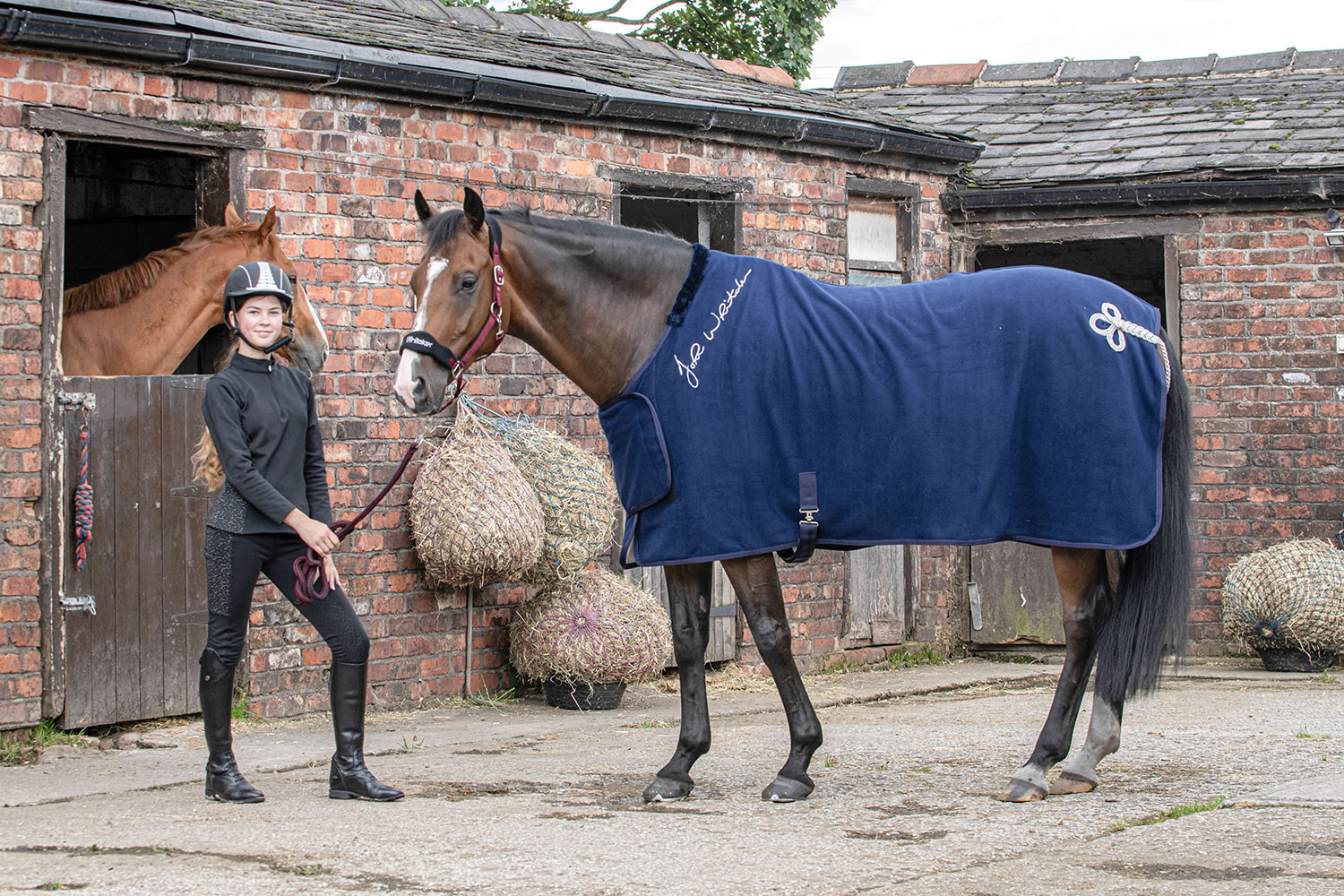 WHITAKER CHELSEA SHOW RUG NAVY/SILVER - totalfarmsupplies.co.uk